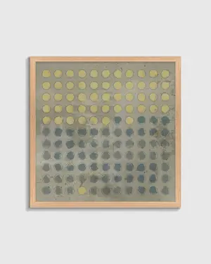 Quince Circling The Square 1 Jacques Pilon, Wood Frame - Oak
