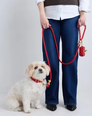 Quince Wrapped Nylon Dog Collar Walk Kit