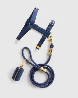 Quince Wrapped Nylon Dog Harness Walk Kit - Navy