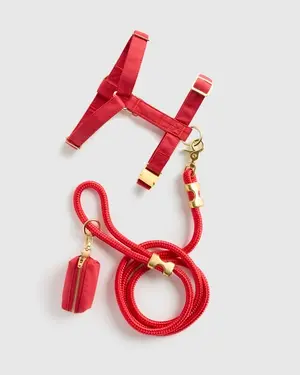 Quince Wrapped Nylon Dog Harness Walk Kit - Ruby