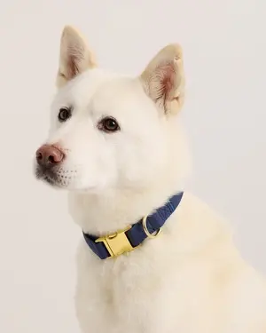Quince Wrapped Nylon Dog Collar - Navy