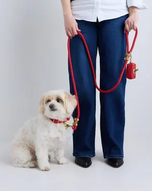 Quince Wrapped Nylon Dog Collar - Ruby