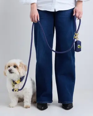 Quince Double-braided Nylon Rope Dog Leash Navy