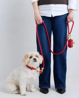 Quince Double-braided Nylon Rope Dog Leash - Ruby