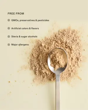 Quince Certified Organic Plant Protein - Chocolate