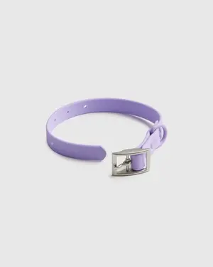 Quince Flex-poly Dog Collar - Lavender