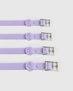 Quince Flex-poly Dog Collar - Lavender