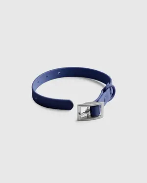 Quince Dog Collar Walk Kit - Navy