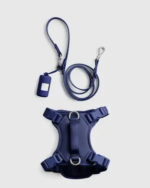 Quince Dog Harness Walk Kit - Navy