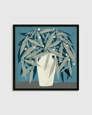 Quince Blue Plant Marco Marella - Black