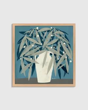 Quince Blue Plant Marco Marella - Oak