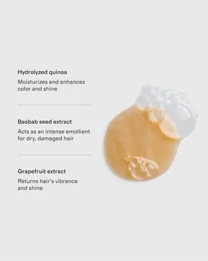 Quince Virtue Recovery Shampoo 8 Oz, Haircare