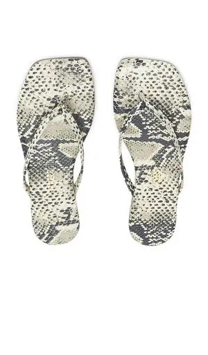 Tkees Square Toe Lily Sandal