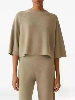 Fabiana Filippi Round-neck Cropped Sweater