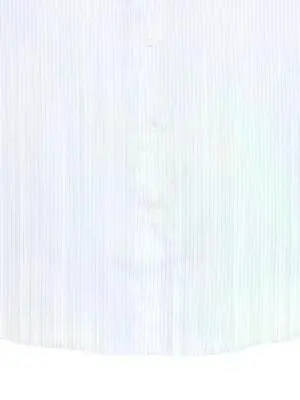 Canali Striped Shirt