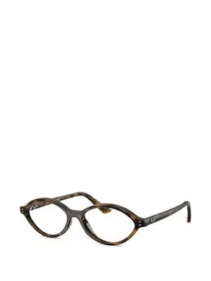 Ray-ban Sunglasses
