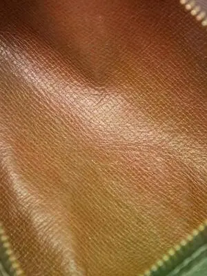 LOUIS VUITTON 1990-2025 Monogram Papillon Pochette