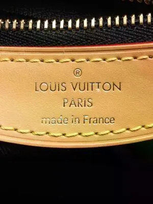 LOUIS VUITTON 2021-2025 Monogram Diane Satchel - Brown