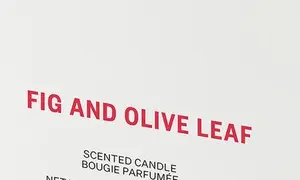 APOTHEKE Fig & Olive Leaf Classic Scented Candle