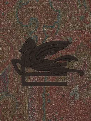 Etro Paisley Pouch - Brown