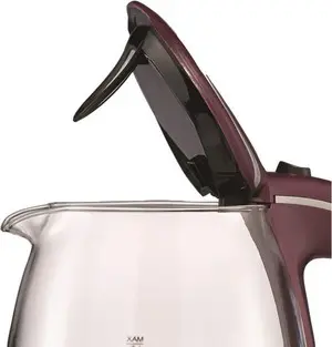 BRENTWOOD Glass Kettle