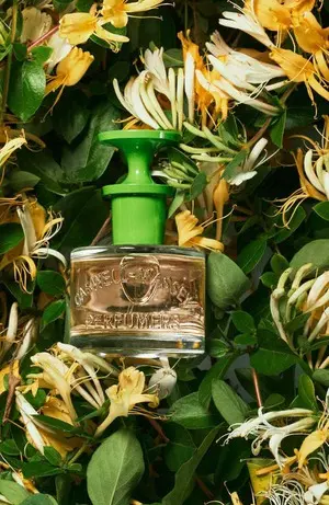 CASWELL-MASSEY Honeysuckle Eau De Toilette - 60ml