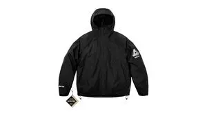 PALACE Gore-tex 2l Ptek Jacket - Black