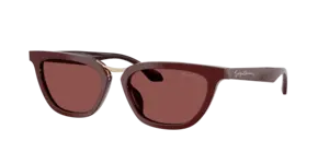 Giorgio Armani Sunglasses - Dark Violet