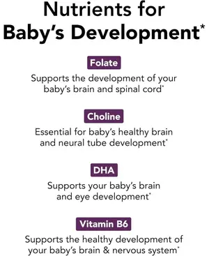 THERALOGIX Theranatal Complete Prenatal Vitamin Supplement -91-day Supply
