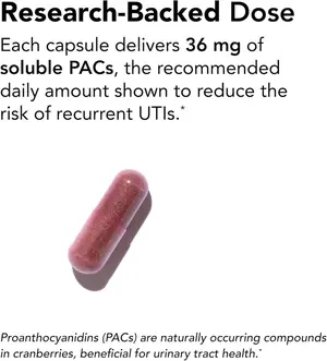 THERALOGIX Theracran One Cranberry Supplement - No Color