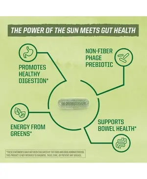 SUNWARRIOR Probiotics Plant Grows To 100 Billion Cfu - No Color