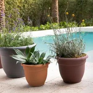 BLOEM Fiskars 12 Inch Ariana Planter With Selfwatering Grid