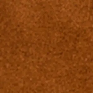 Balmain Suede Anthem Belt - Brown