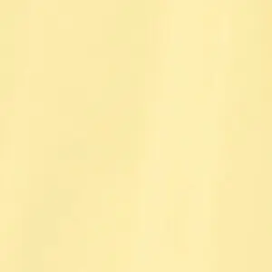 Loewe Drawstring-hem Shirt
