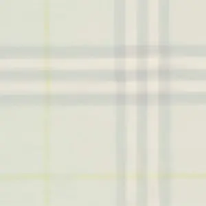 Burberry Wool Check Scarf - Green
