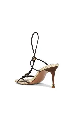 Steve Madden Ramos Strappy Sandal - Neutral