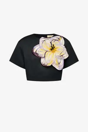 LEO LIN Appliqué Sleeve Crop Top