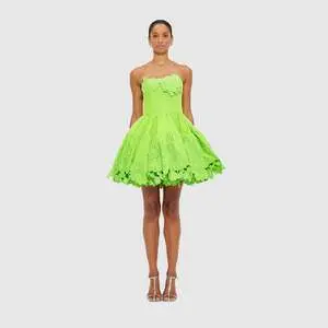 LEO LIN Skye Appliqué Bustier Mini Dress