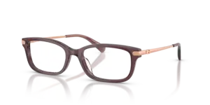 COACH Hc6287u - Transparent Iris