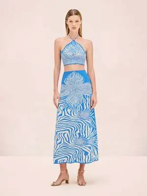 Alexis Jazlyn Printed A-line Skirt - Blue Bloom