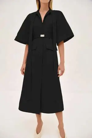 Alexis Ilardi Dress