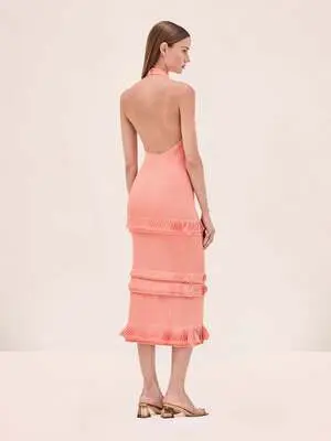 Alexis Ines Knit Dress - Mandarin