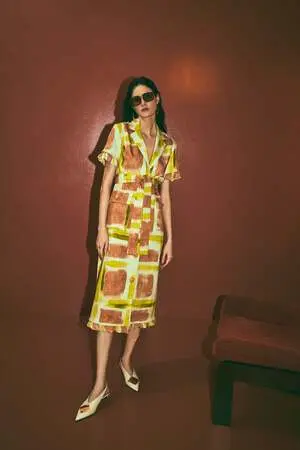 Alexis Arbena Printed Midi Dress