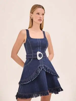 Alexis Macey Mini Dress