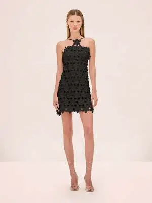 Alexis Lily Halter Mini Dress - Black
