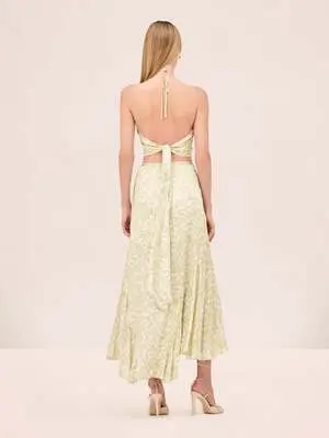 Alexis Nali Halter Crop Top