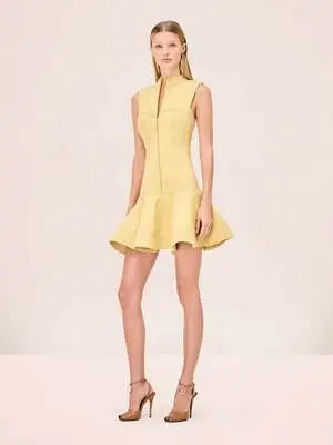 Alexis Taylin Mini Dress - Husk