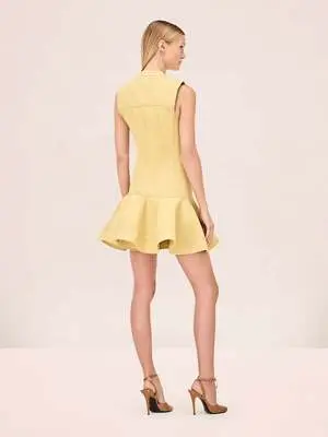 Alexis Taylin Mini Dress - Husk