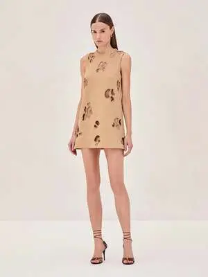 Alexis Ali Dress - Beige