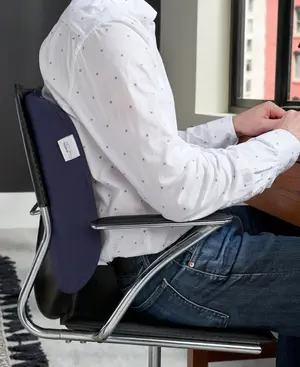TEMPUR-PEDIC Ergonomic Lumbar Cushion